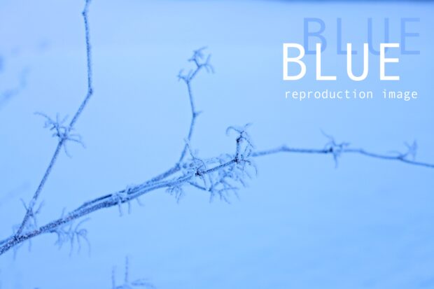 BLUE – reproduction image | happy times